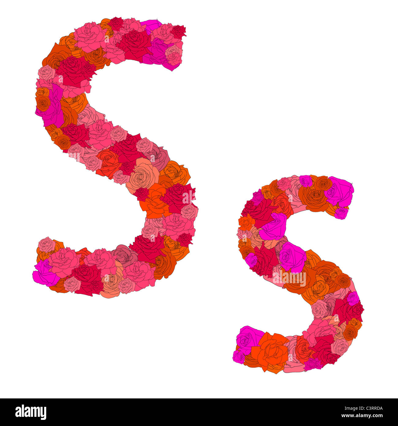 Flower alphabet of red roses, characters S-s Stock Photo - Alamy