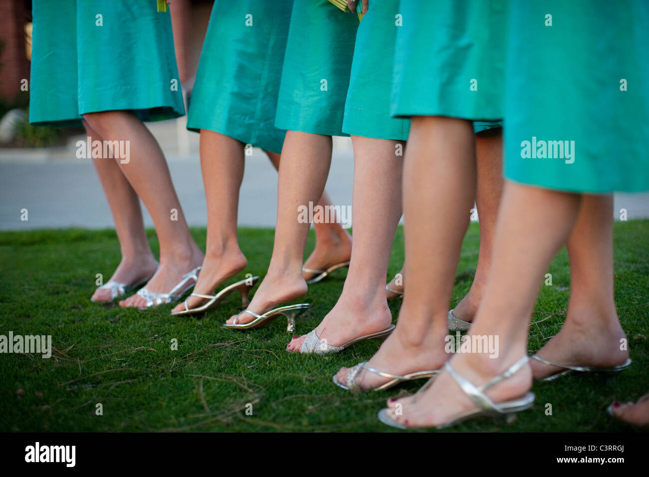 Bridesmaids legs in a row Stock Photo - Alamy