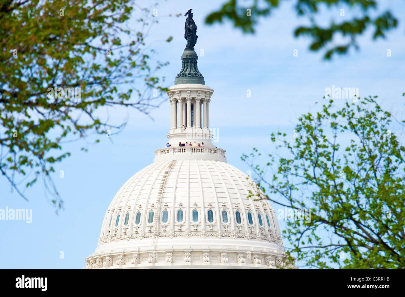 Us capitol building dome hi-res stock photography and images - Alamy