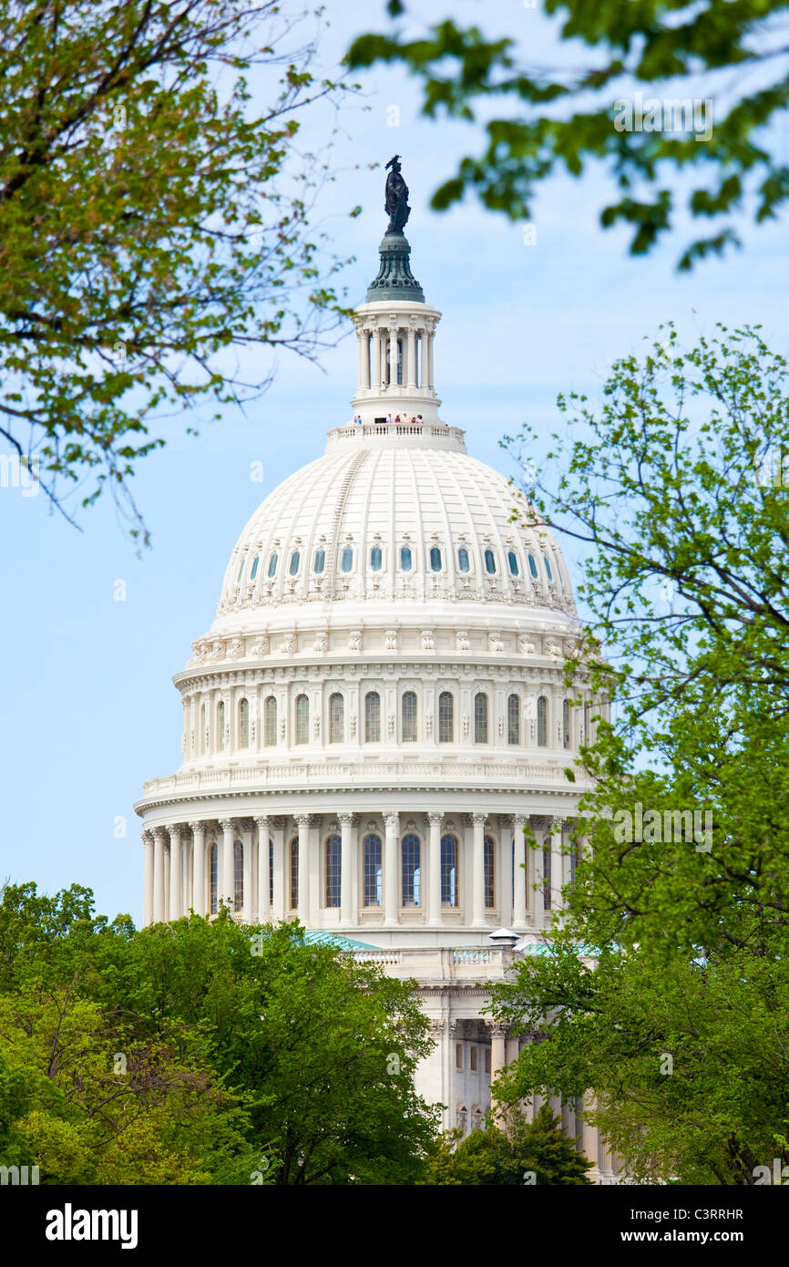 Capitol building, Washington DC Stock Photo - Alamy