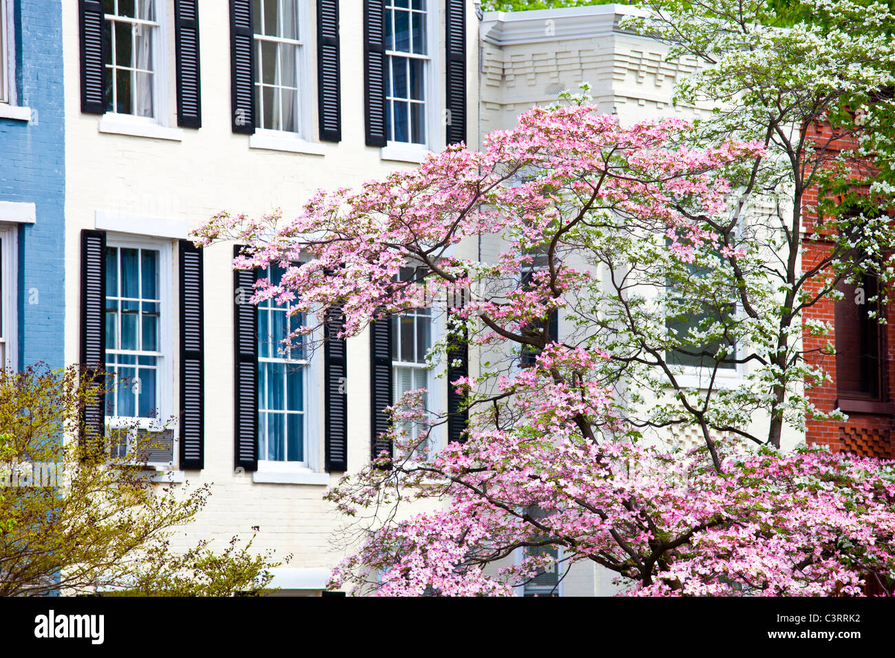 Dc row houses hi-res stock photography and images - Alamy