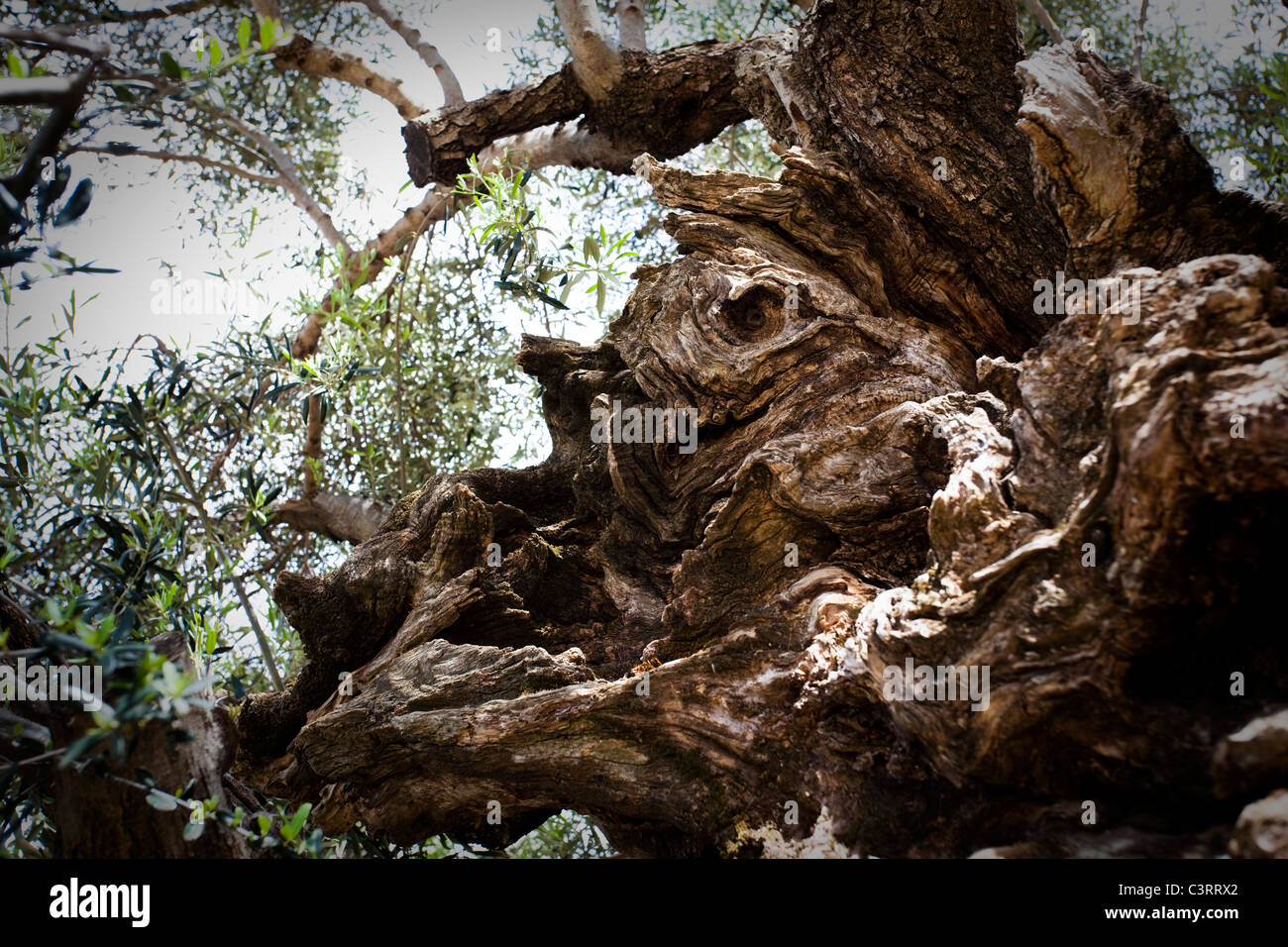 Simulacrum of the Minotaur, the bullheaded monster - son of Minos, who ...