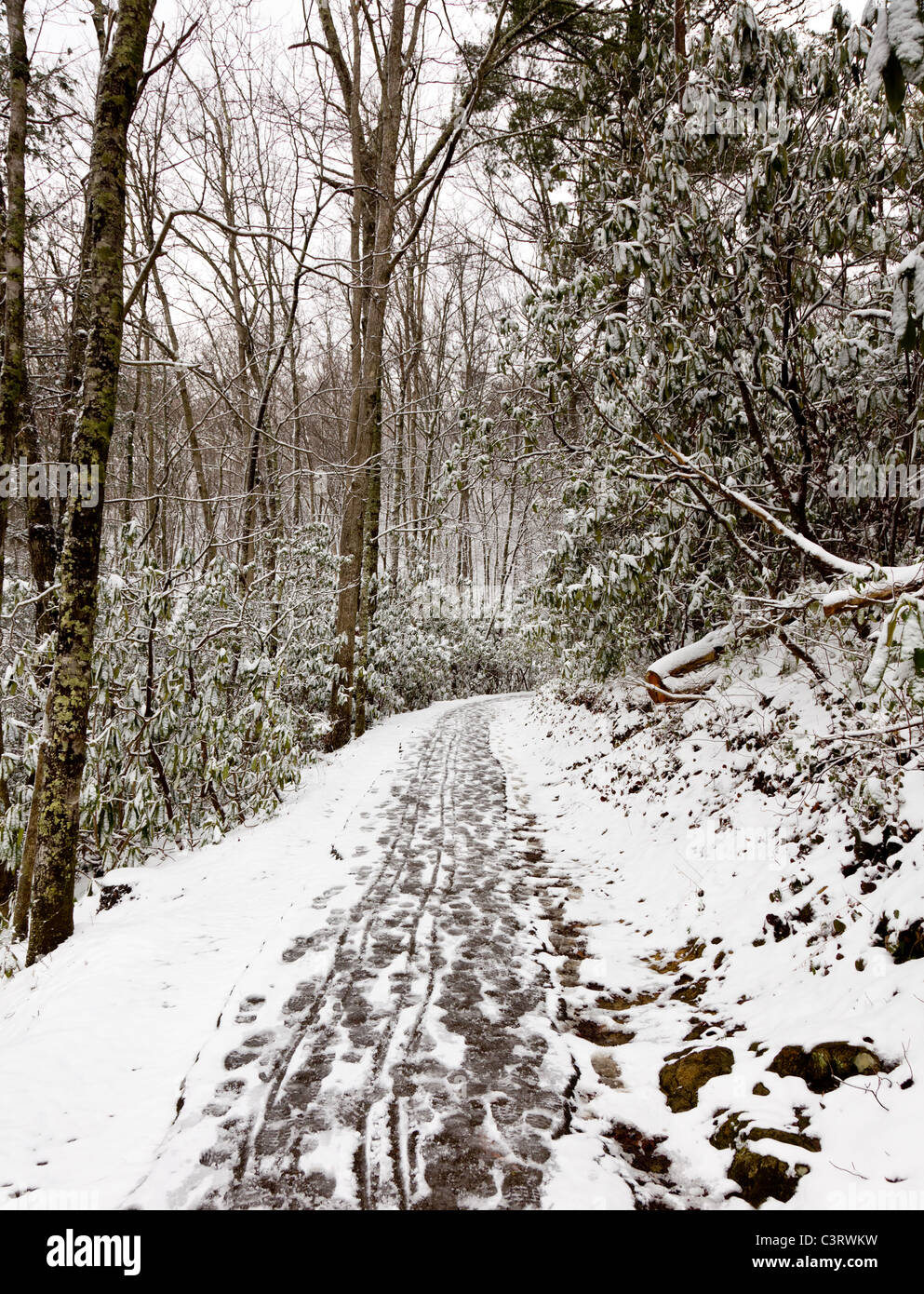 Hiking a snow covered path in the Smoky Mountains in winter Stock Photo ...