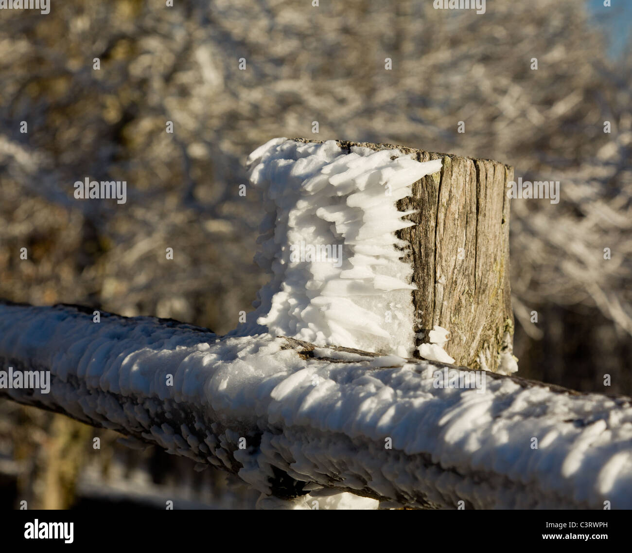 Frozen wooden fencing hi-res stock photography and images - Alamy