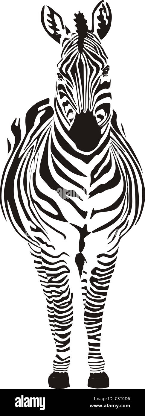 Zebra - black and zero Stock Photo - Alamy