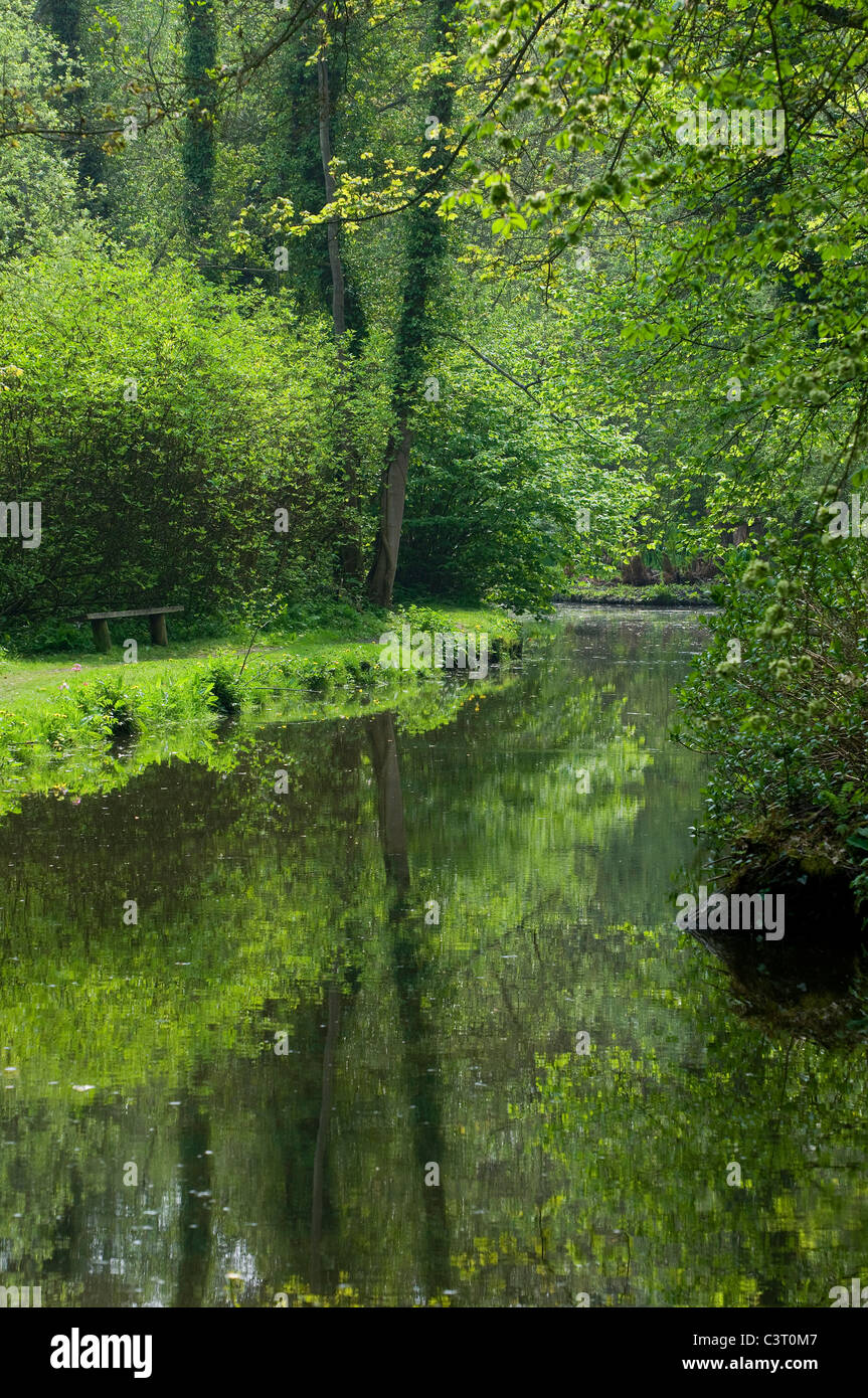 Tree lined river hi-res stock photography and images - Alamy
