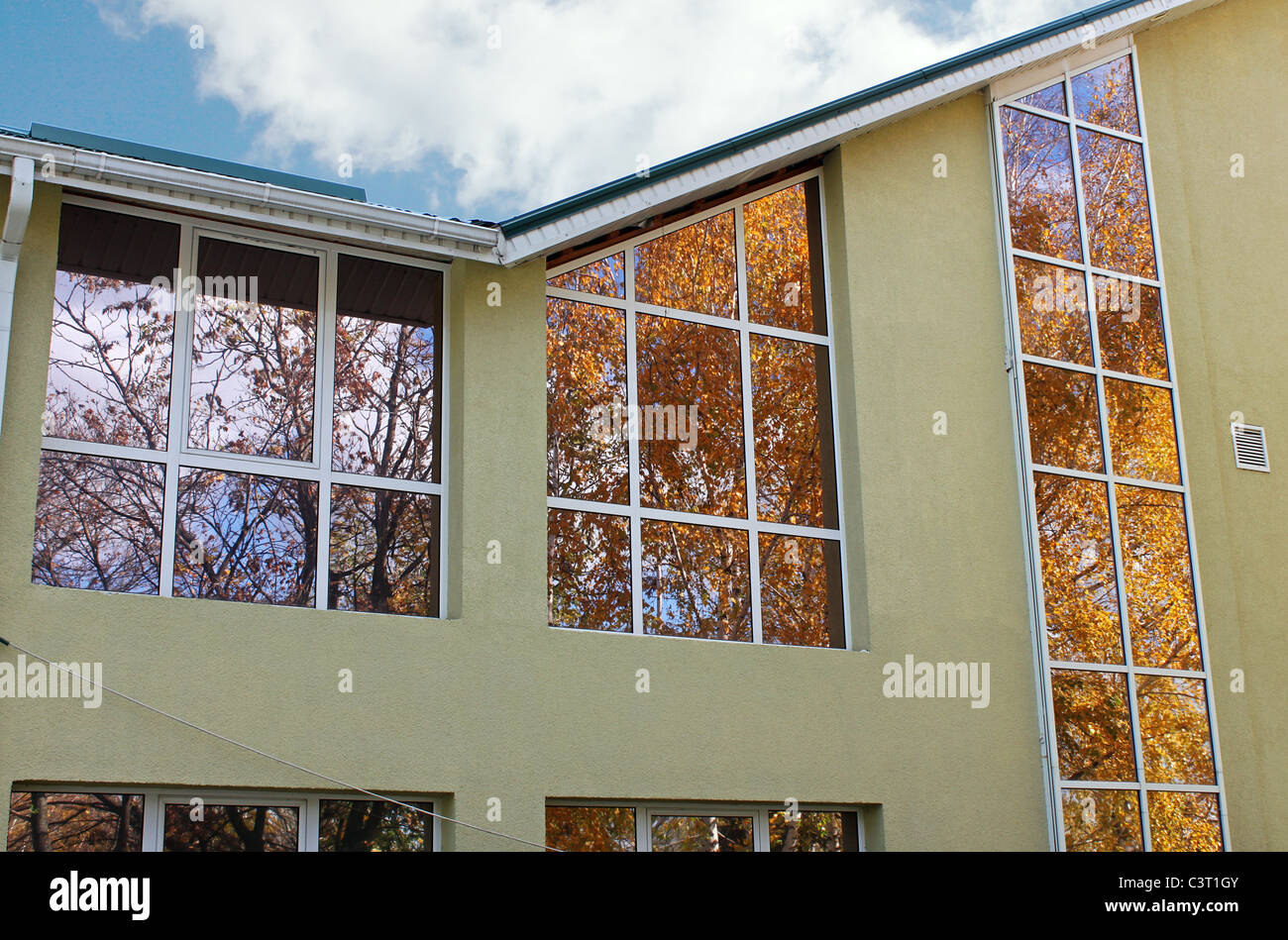 reflection of birch trees and sky in windows of cottage Stock Photo - Alamy