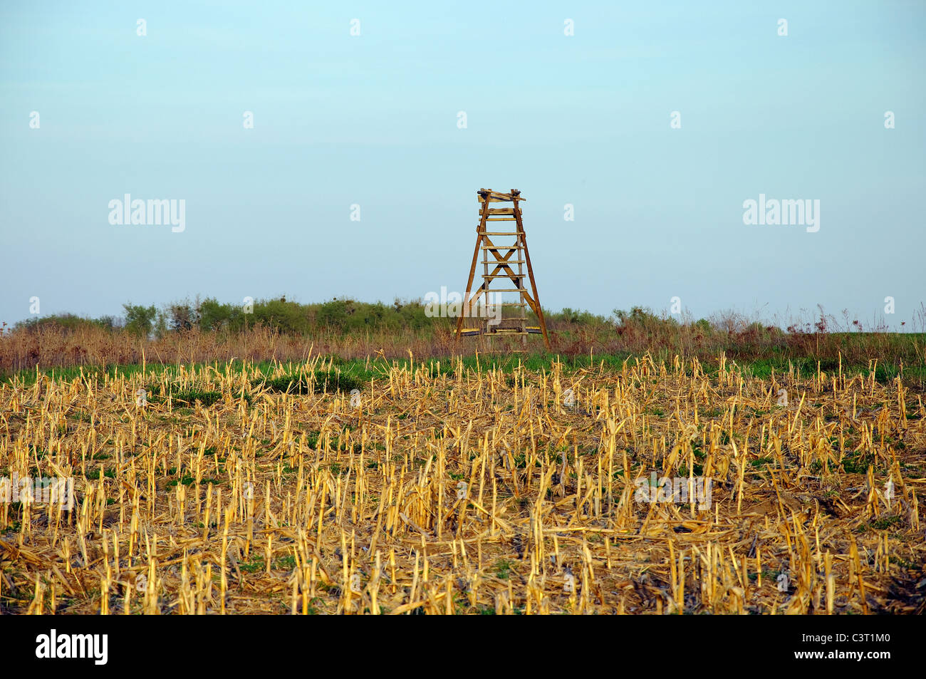 Observation stand hi-res stock photography and images - Alamy