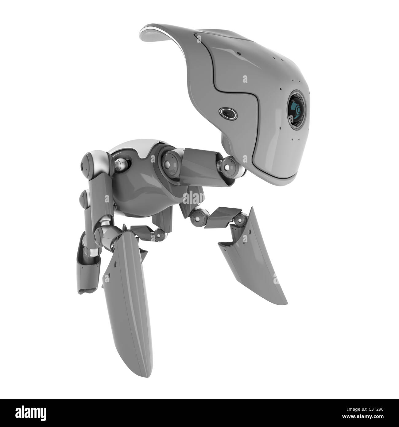 Tech insect Cut Out Stock Images & Pictures - Alamy