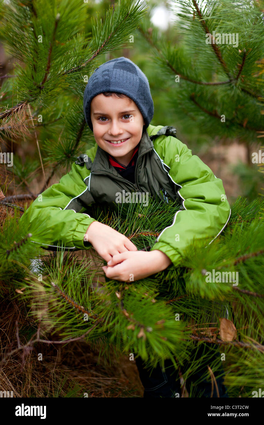Portrait of a beautiful child outdoor, among pine branches Stock Photo ...