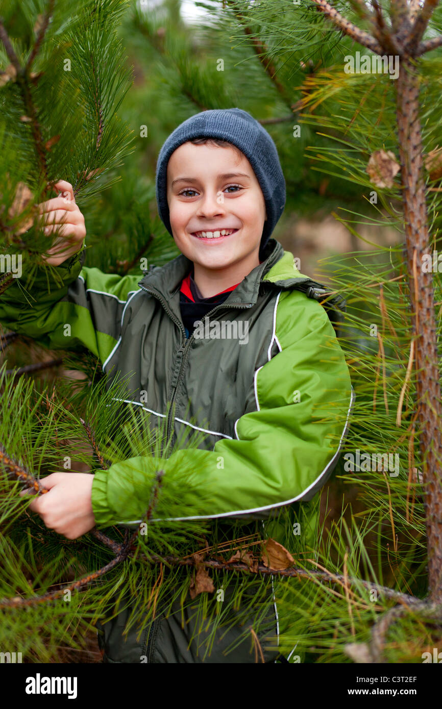 Portrait of a beautiful child outdoor, among pine branches Stock Photo ...