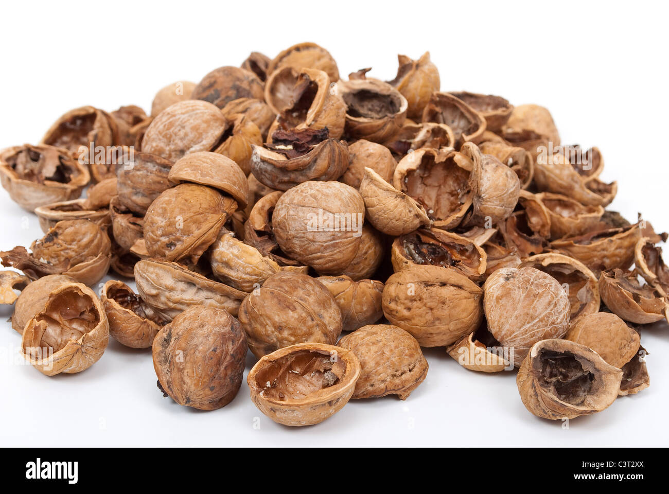 Walnut shell Stock Photo - Alamy