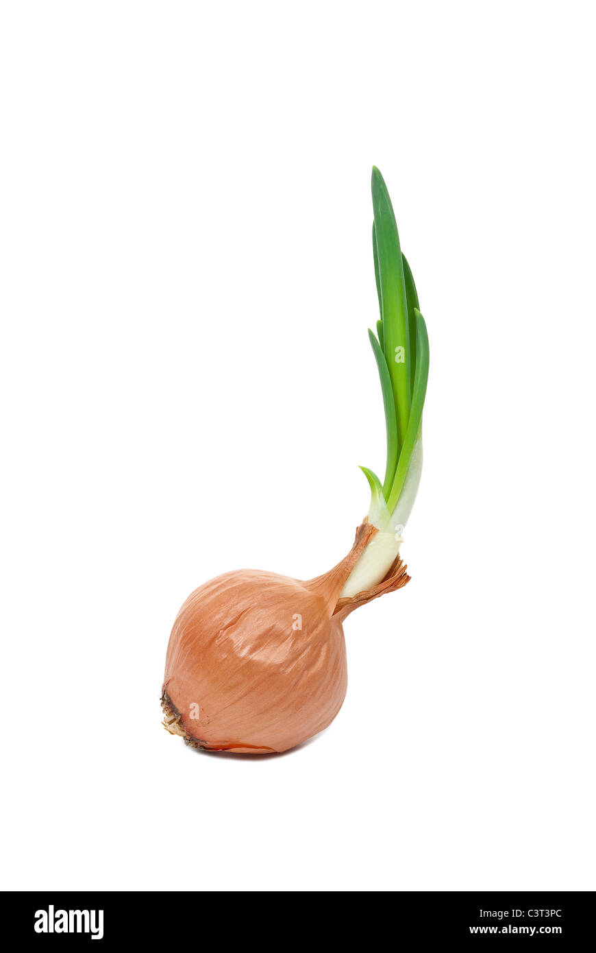 Raw green fresh spring Cut Out Stock Images & Pictures - Alamy