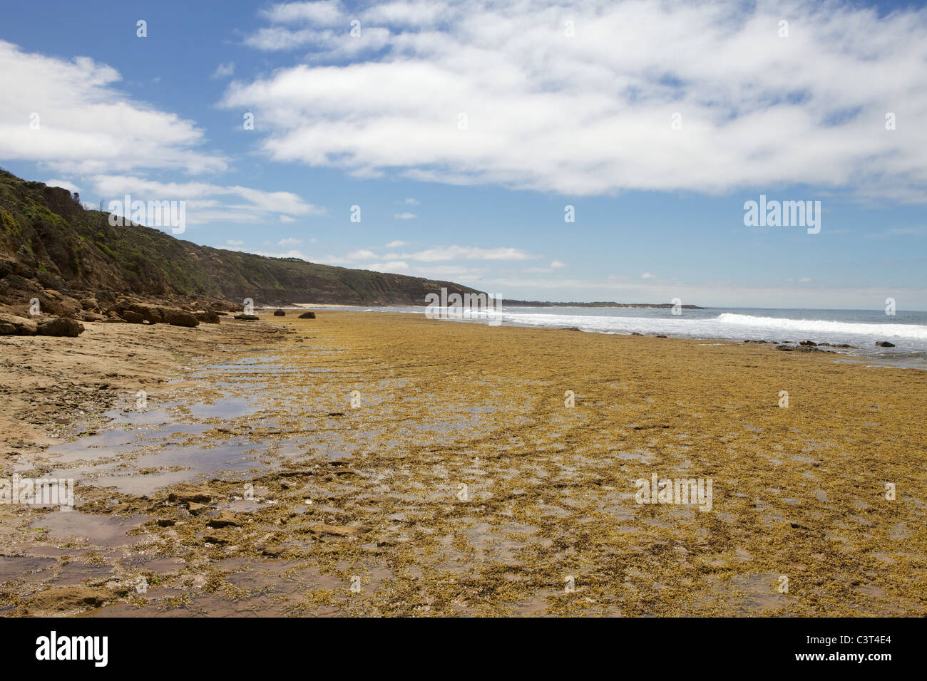 Bells beach hi-res stock photography and images - Alamy