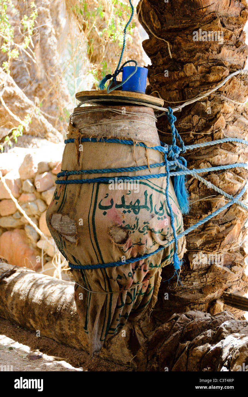 Feiran oasis hi-res stock photography and images - Alamy