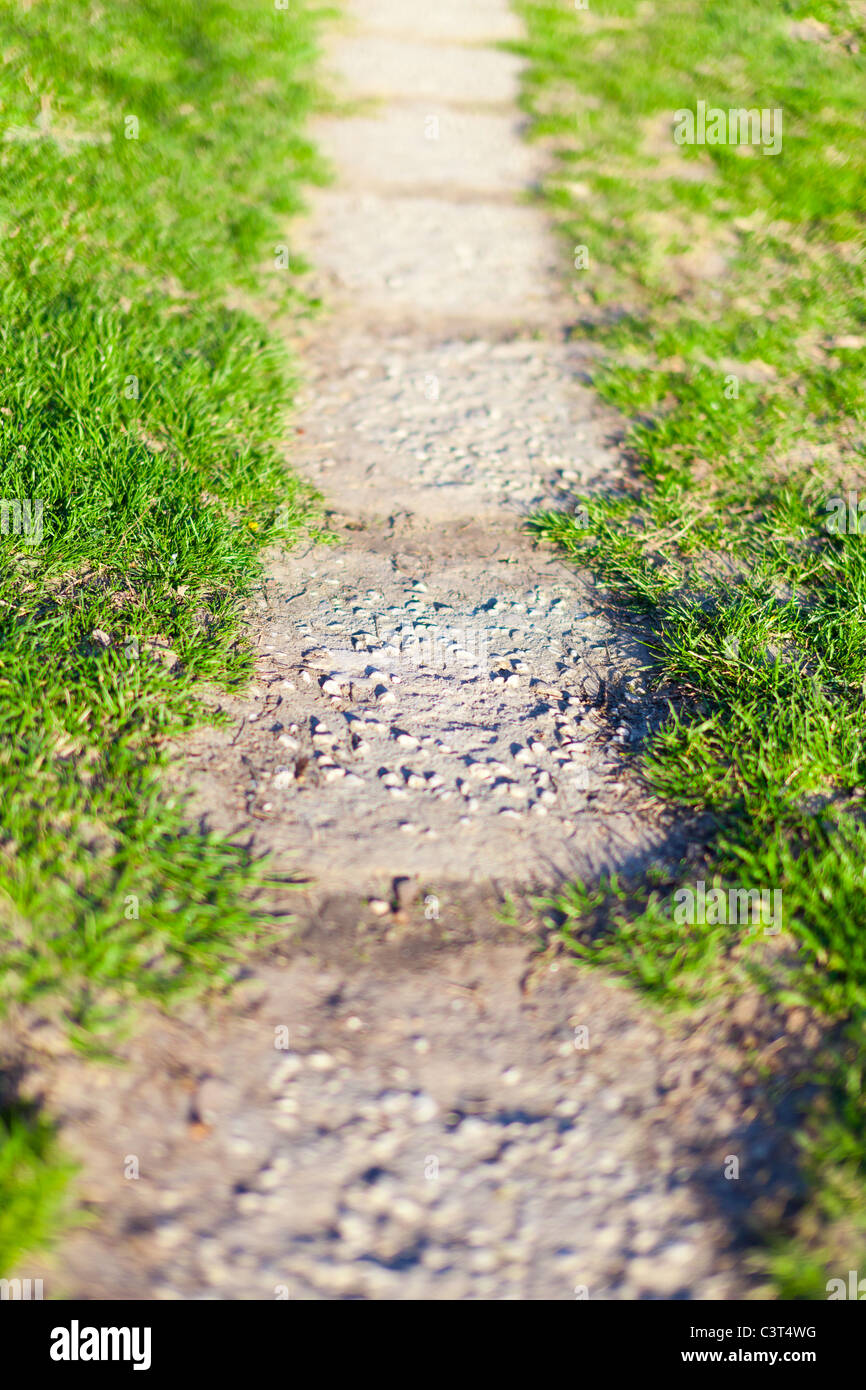 Image of a concrete paved footpath or alley in park through grass Stock ...