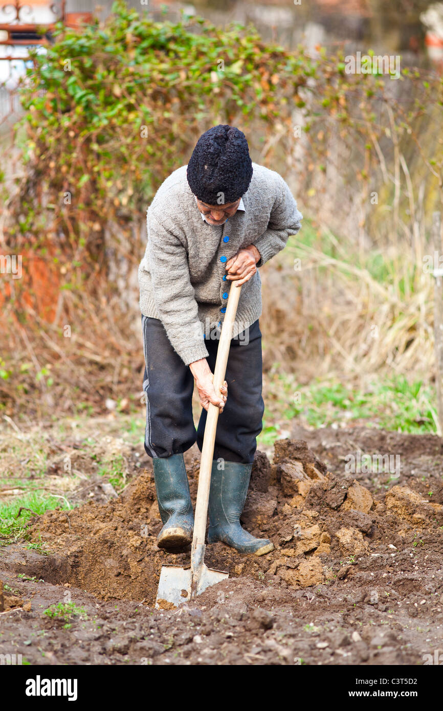 Old farmer digging in the garden for planting trees Stock Photo - Alamy