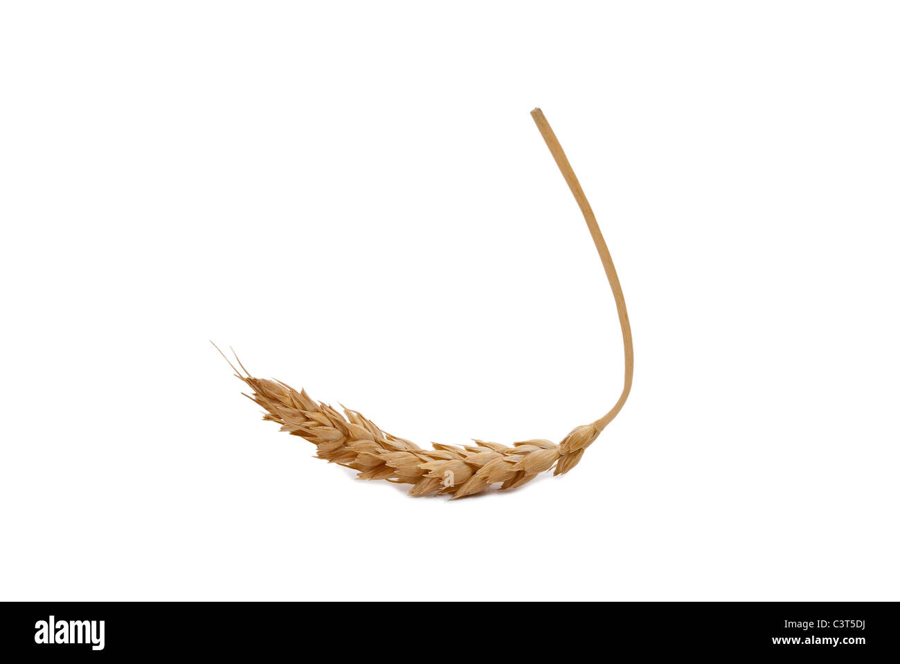 Rural Cut Out Stock Images & Pictures - Alamy