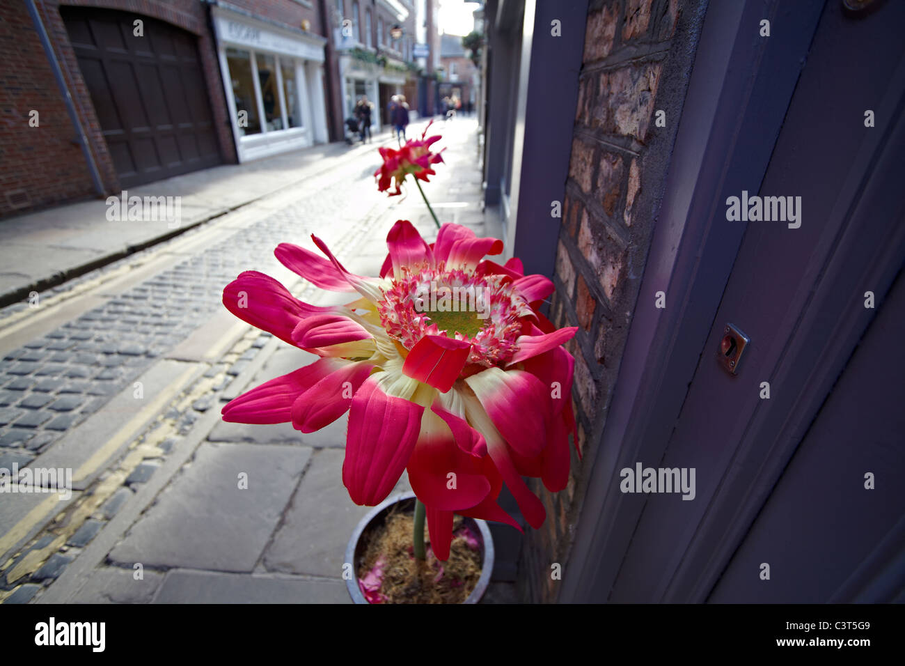 Cobble street door hi-res stock photography and images - Alamy