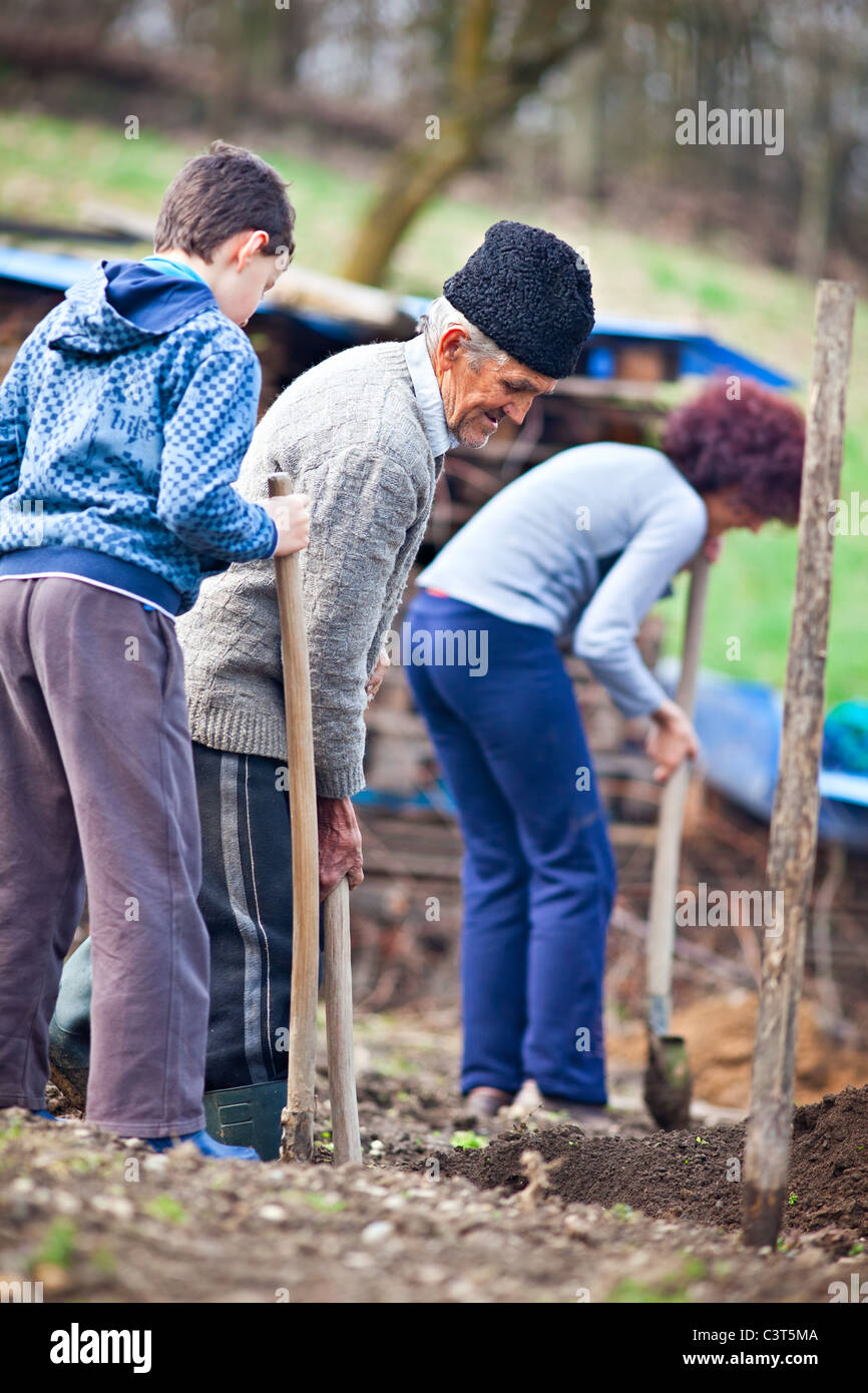 Three generations family working the land, digging for planting trees ...