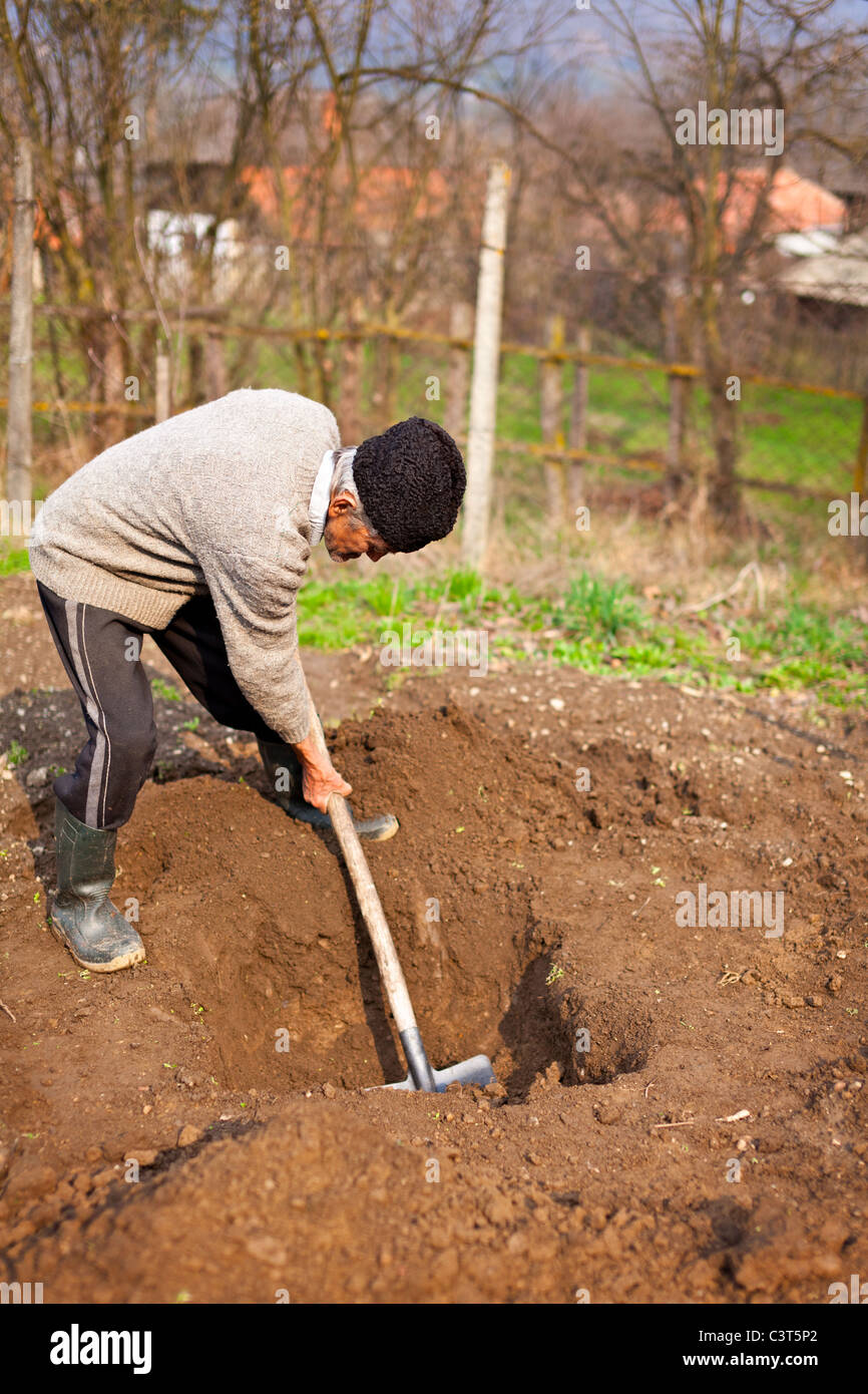 Old farmer digging in the garden for planting trees Stock Photo - Alamy