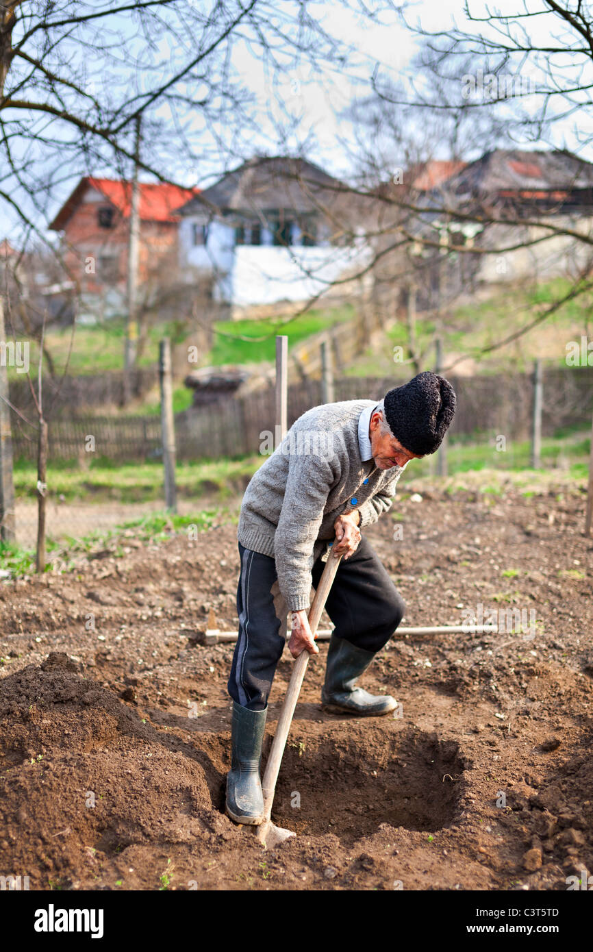 Old farmer digging in the garden for planting trees Stock Photo - Alamy