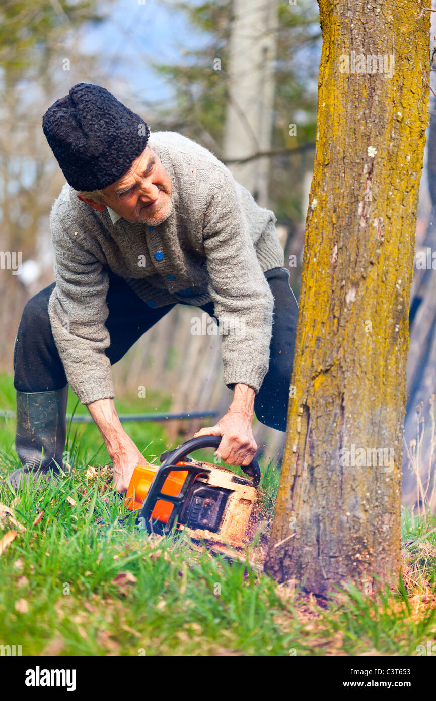 Old Man Cutting Log Stock Photos & Old Man Cutting Log Stock Images - Alamy