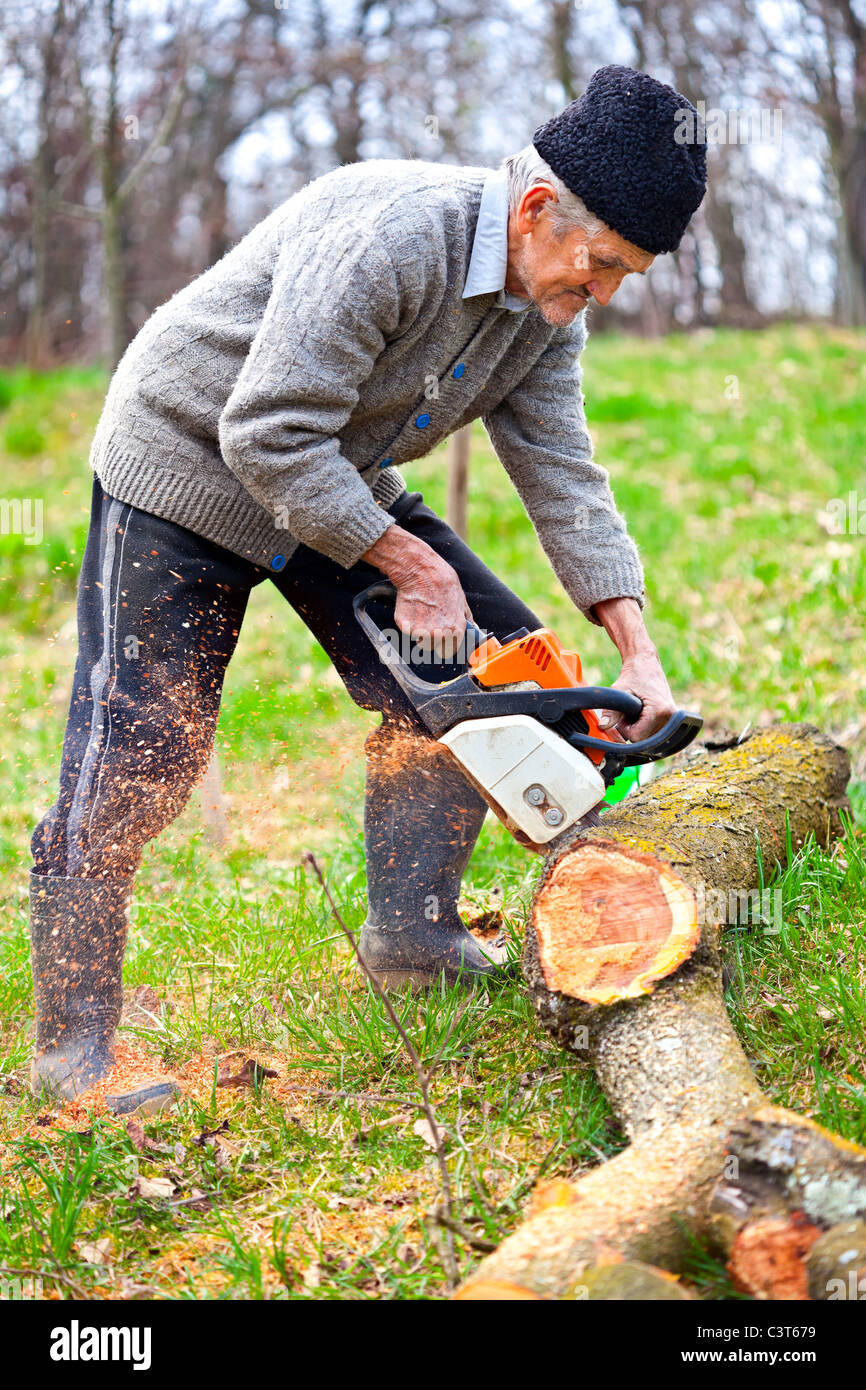 Senior farmer cutting a tree with a chainsaw on the grass Stock Photo ...