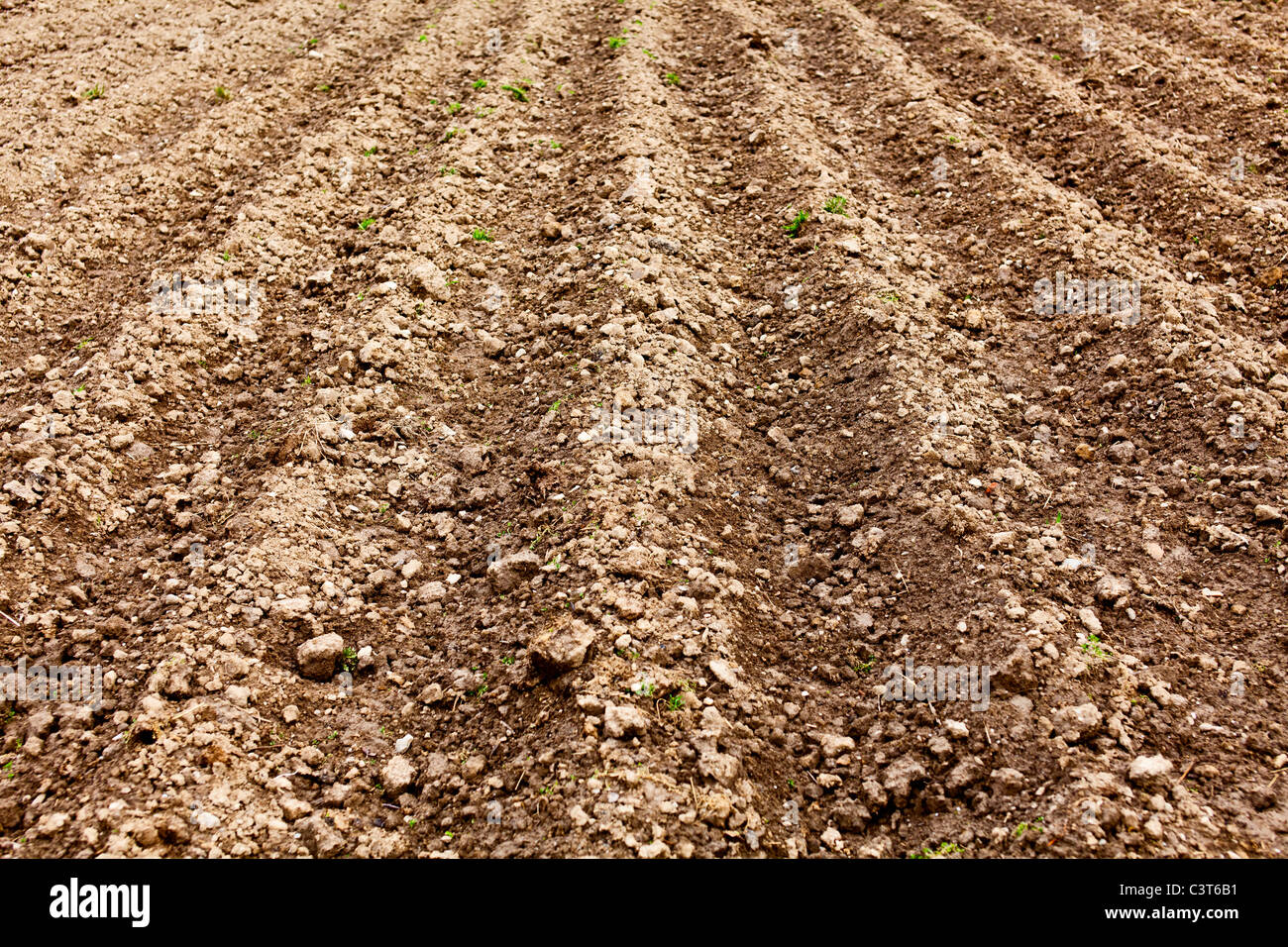 Landscape of ploughed land with rows pattern Stock Photo - Alamy
