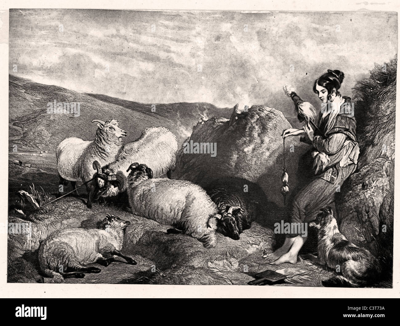 Scottish sheep farm 19th century hi-res stock photography and images ...