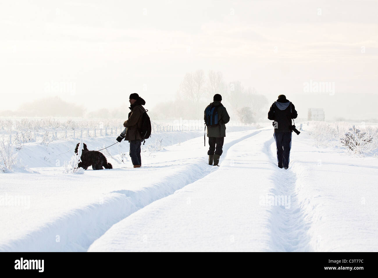 Worlaby Carrs In The Snow Stock Photo - Alamy