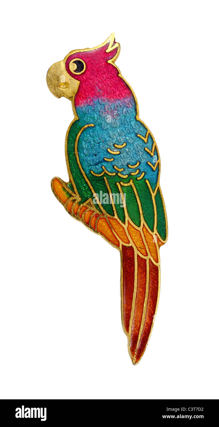 Parrot costume hi-res stock photography and images - Alamy