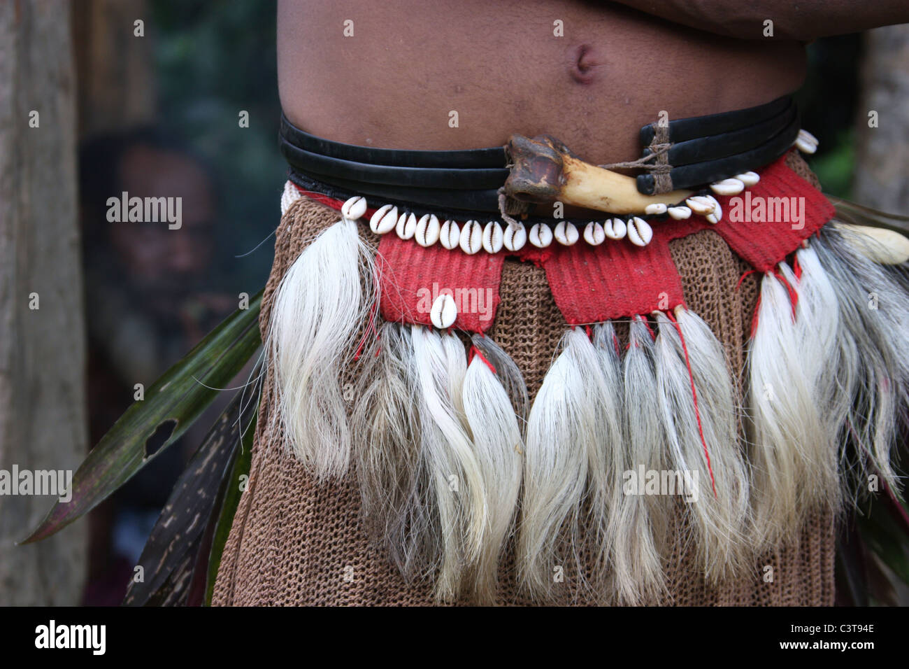 Decorative Tribal Costume of Highland Warrior in Papua New Guinea Stock ...
