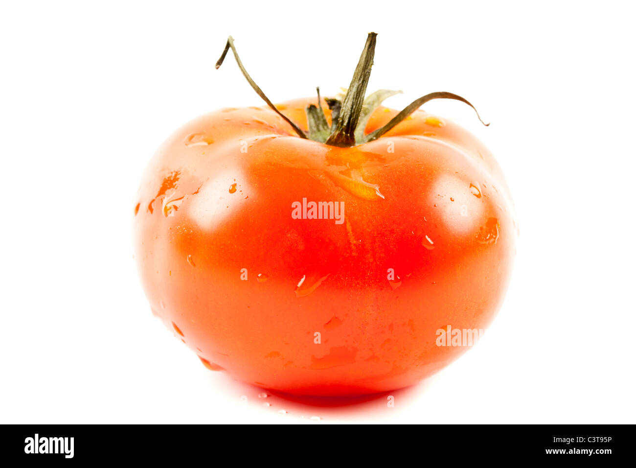 A single tomato isolated on white background Stock Photo - Alamy