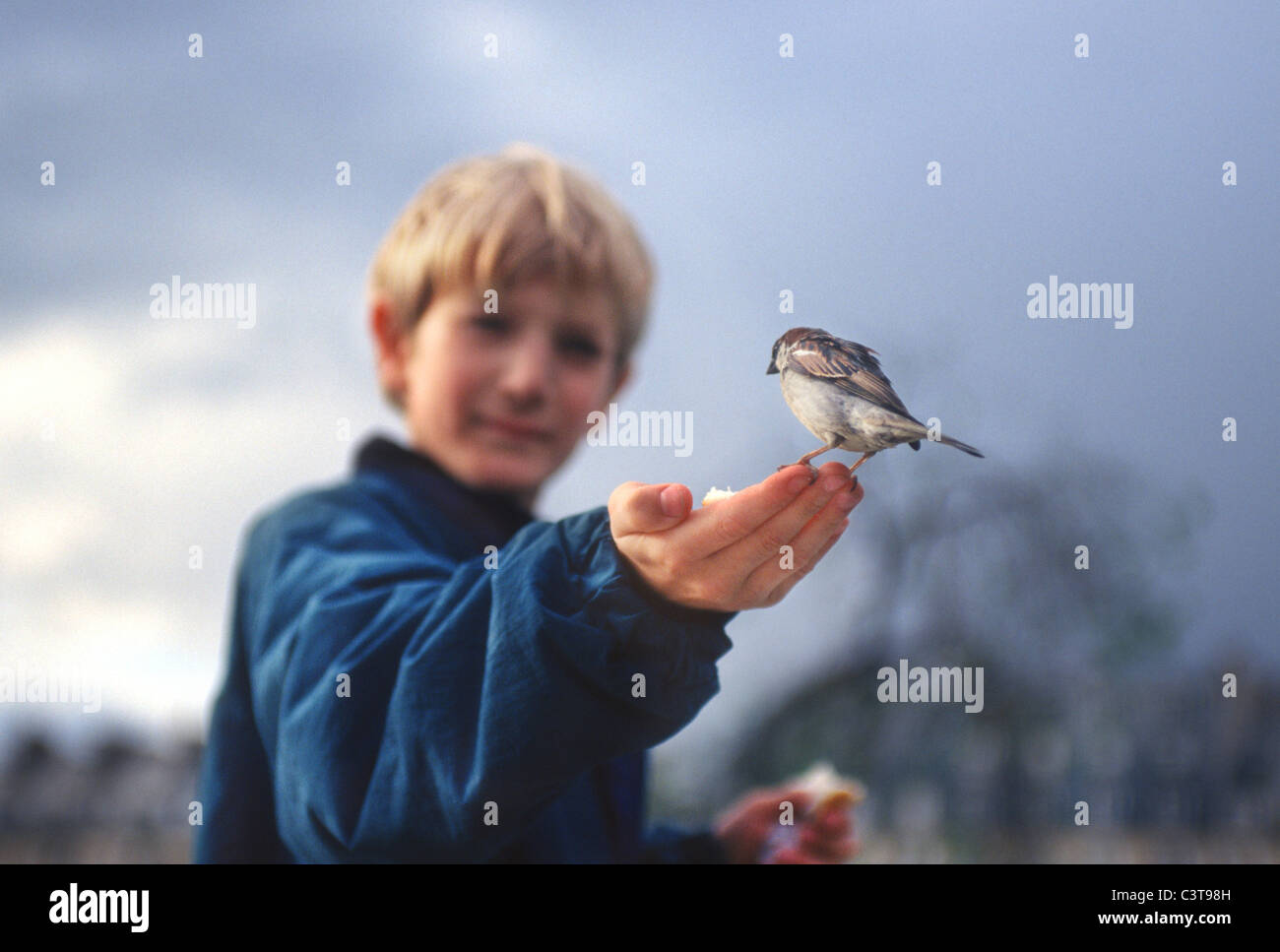 Bird Boys High Resolution Stock Photography and Images - Alamy
