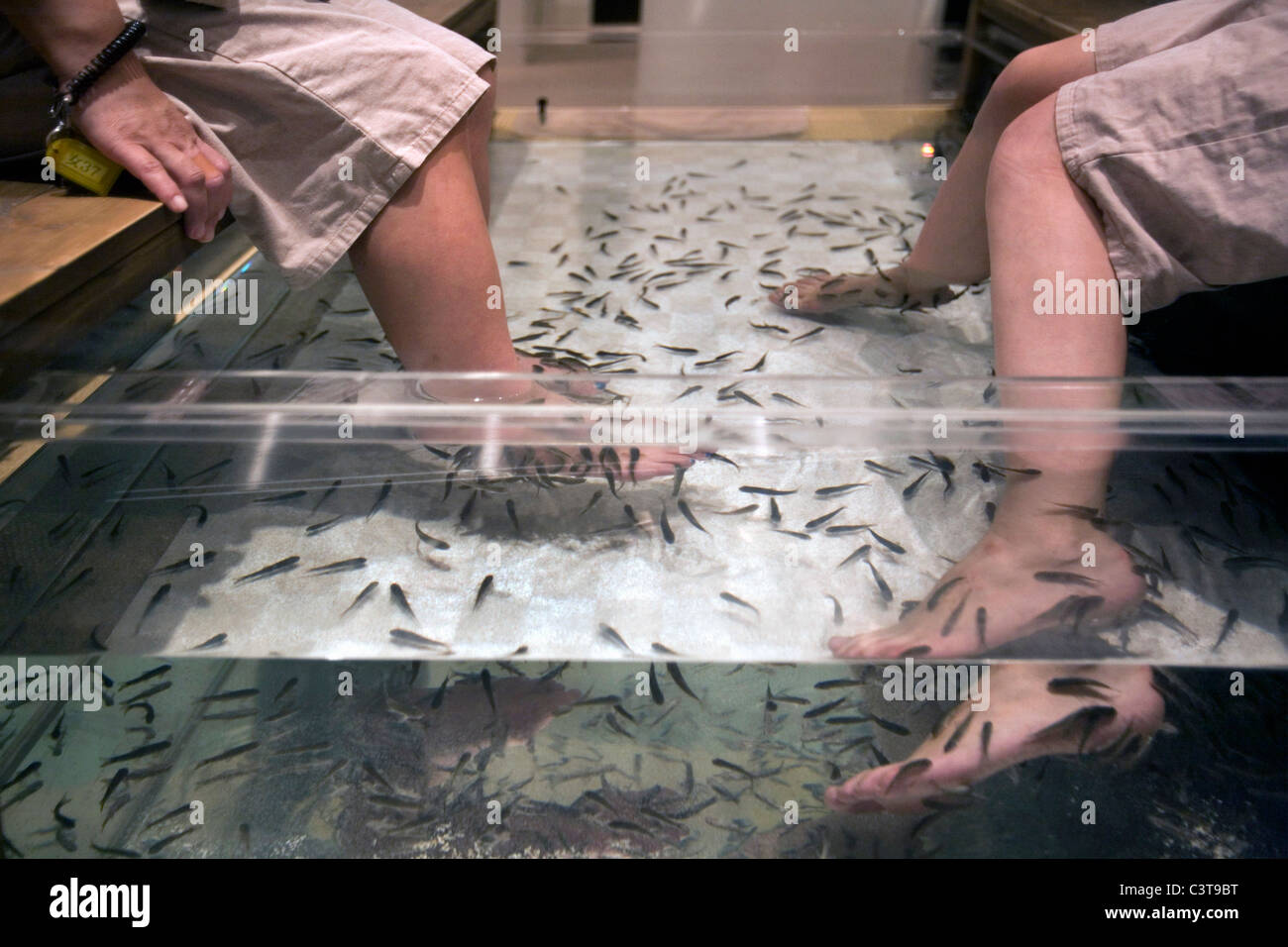 Garra Rufa fish therapy in a health spa, Tokyo, Japan Stock Photo - Alamy