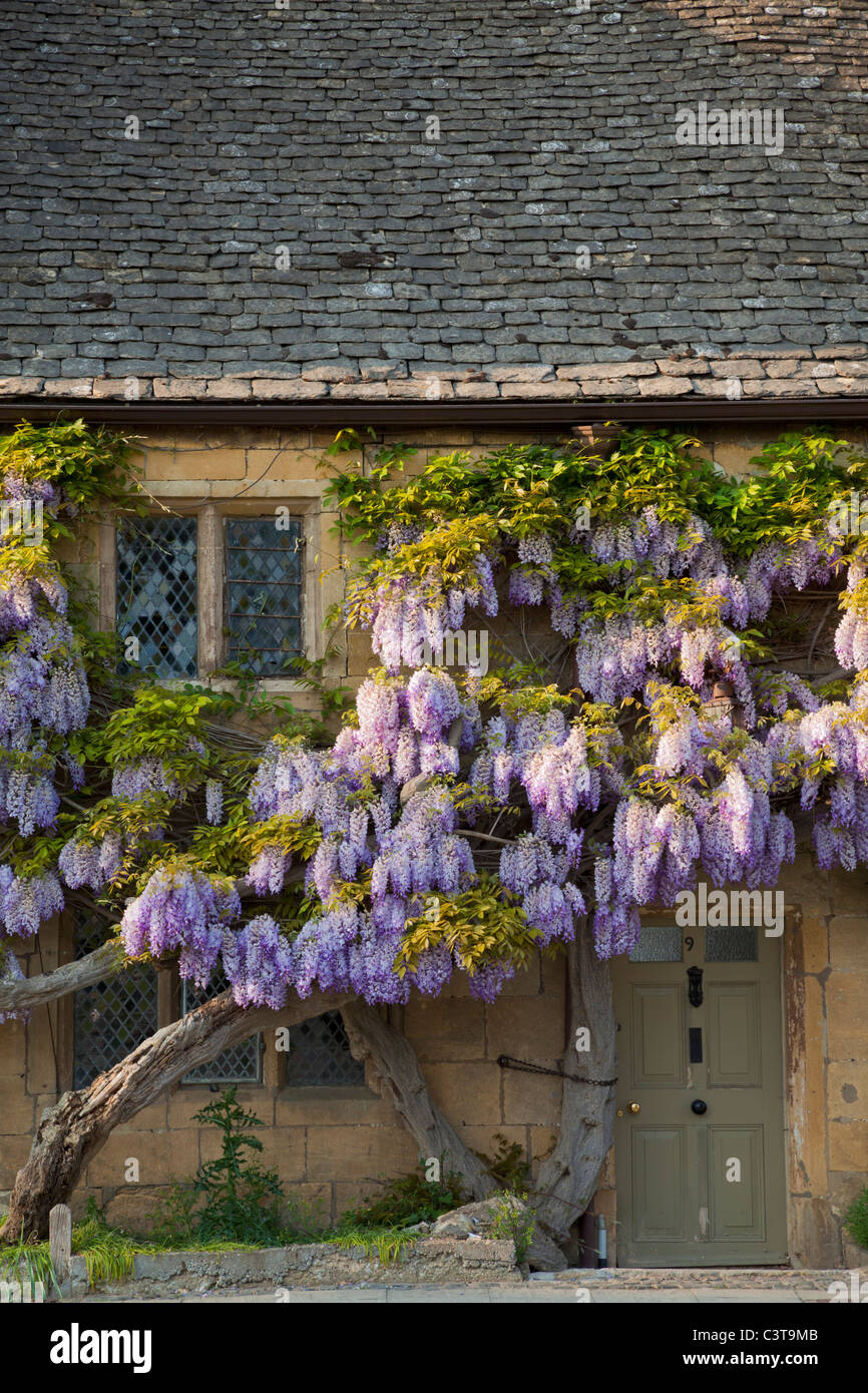 Wisteria cottage broadway hi-res stock photography and images - Alamy