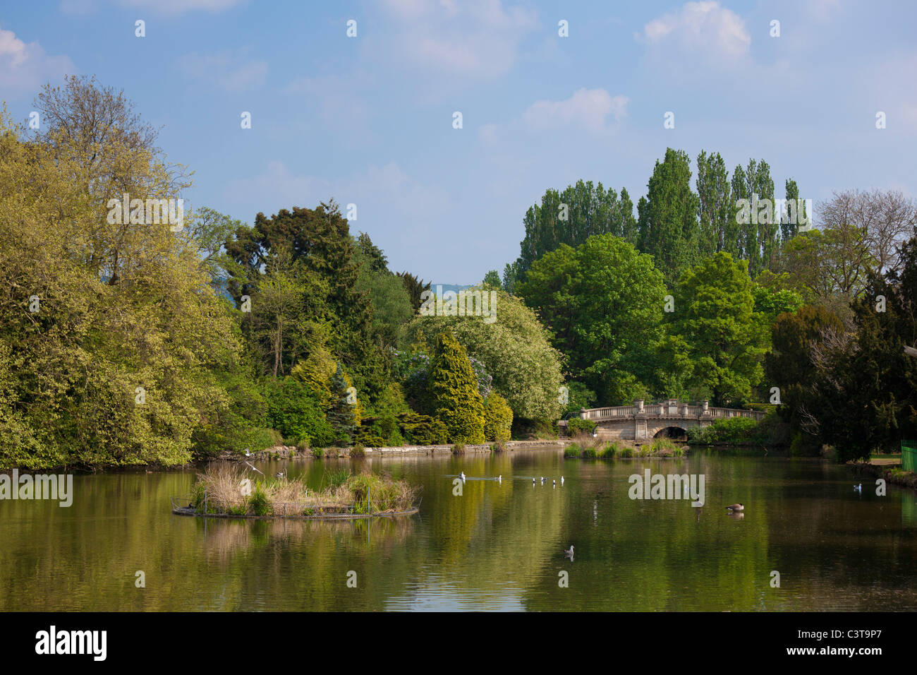 Bridge over the lake in Pittville park Cheltenham Gloucestershire GB UK ...