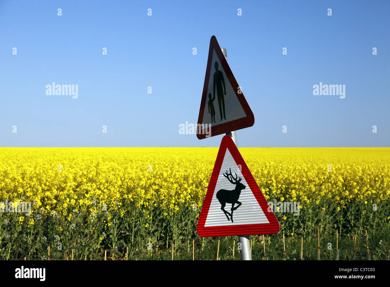 CHILDREN & DEER ROAD SIGNS EAST YORKSHIRE ENGLAND 01 May 2011 Stock ...
