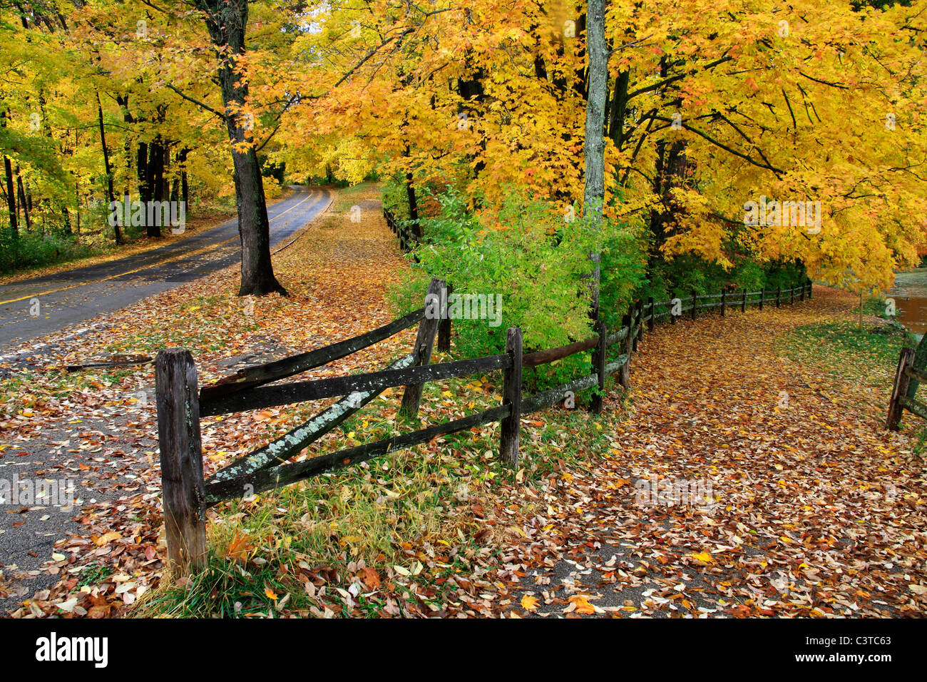 A Walking Path, Fence And Road Through Colorful Fall Foliage ...