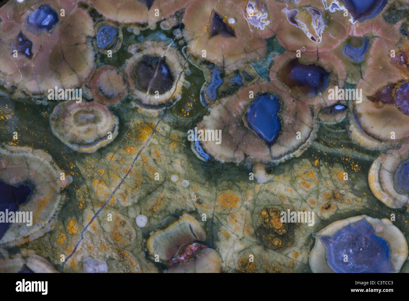 rainforest jasper with agate eyes Stock Photo - Alamy