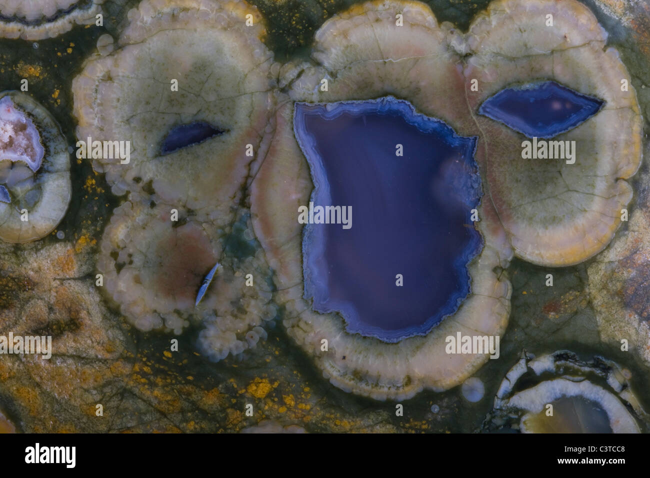 rainforest jasper with agate eyes Stock Photo - Alamy