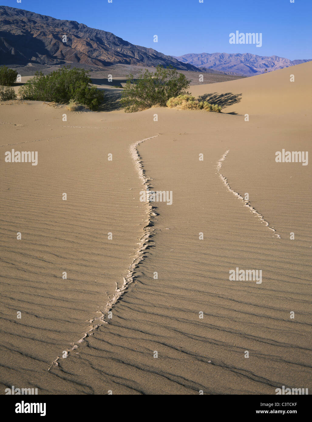 Valley of dry bones hi-res stock photography and images - Alamy