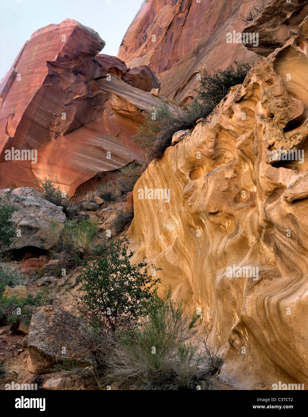 Interesting And Colorful Rock Forms At Capitol Reef National Park, Utah ...