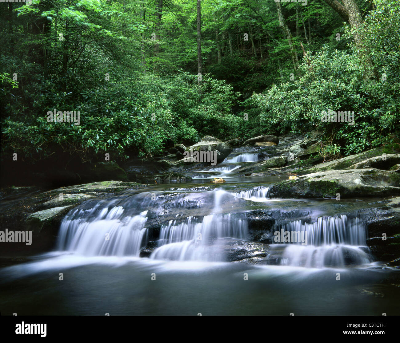 A Gentle Waterfall In The Great Smoky Mountains National Park ...