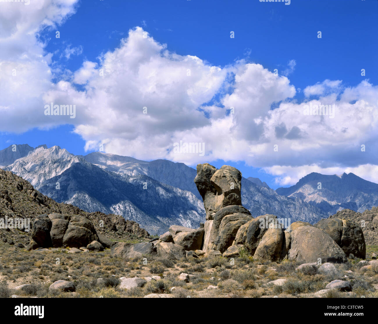 Foot forms hi-res stock photography and images - Alamy