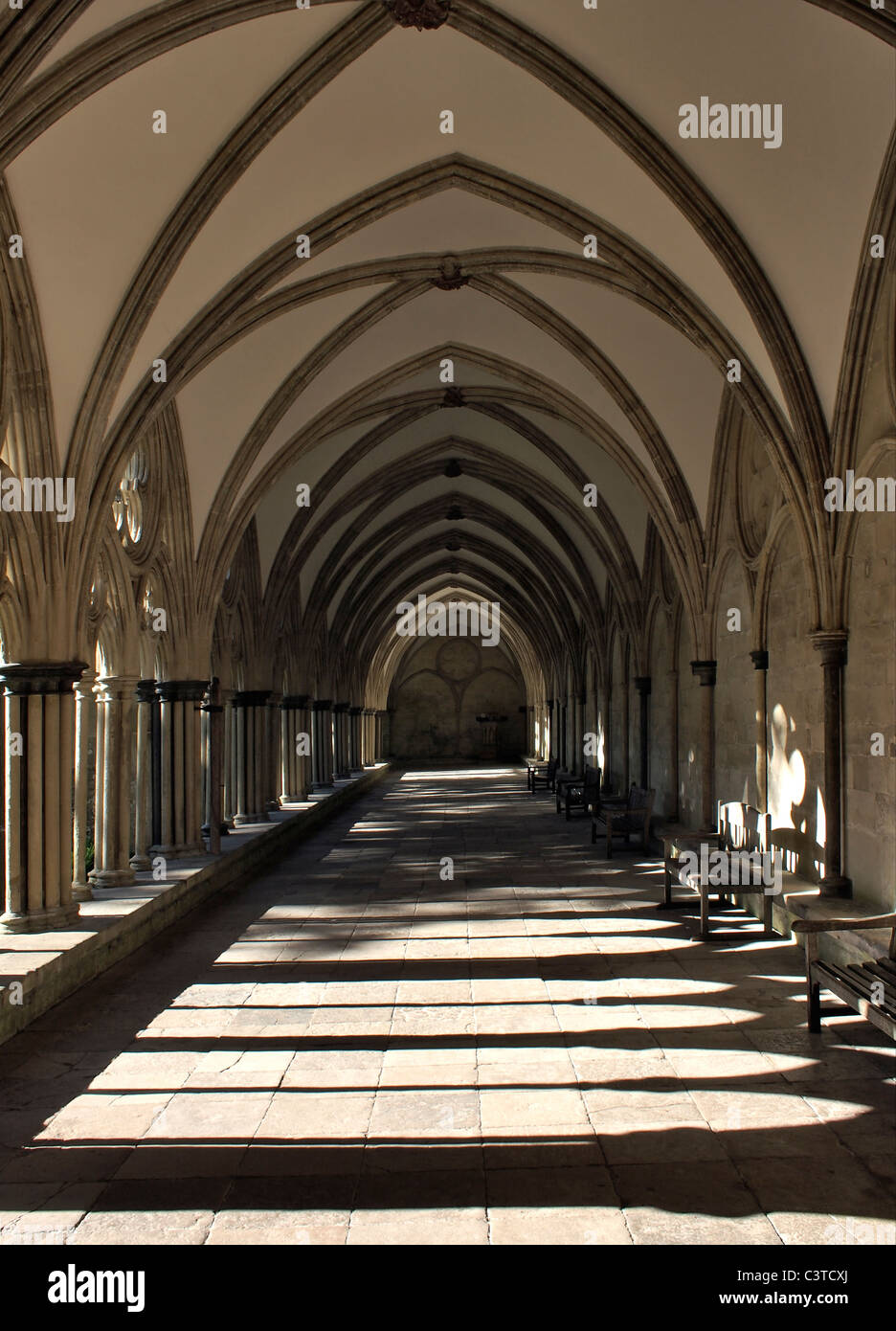 Shadows cast by stone pillars in Salisbury Cathedral Cloisters Stock ...