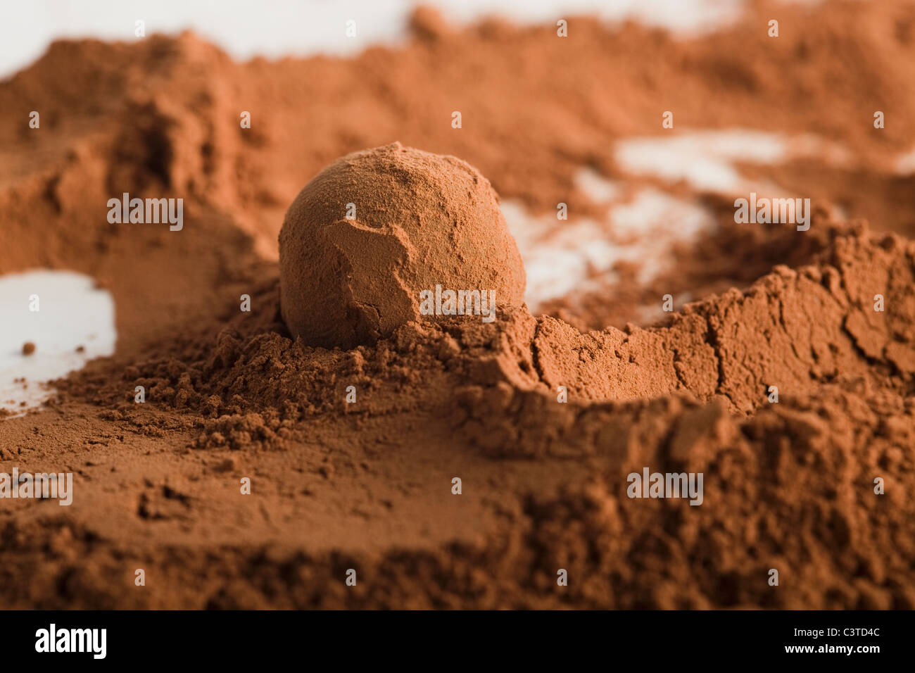 Chocolate ball in cocoa powder Stock Photo - Alamy