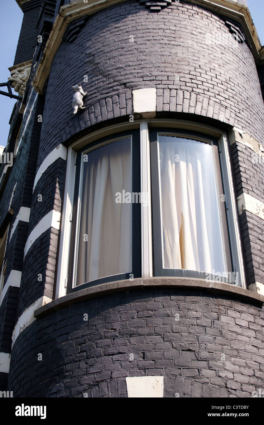Climbing cat sculpture on a traditional house, Amsterdam, Netherlands ...
