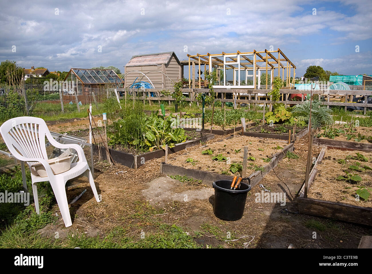 Allotment growing vegetables hi-res stock photography and images - Alamy